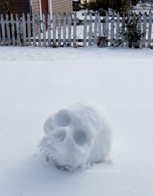 [BONUS] 424. Polar Vortex Skull