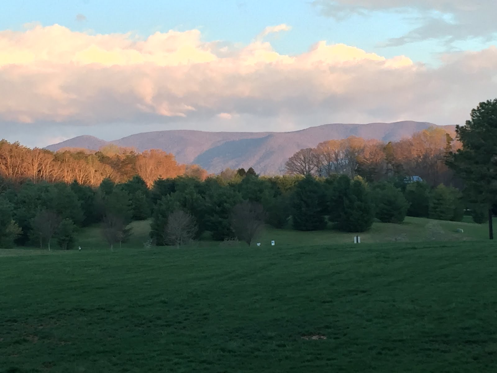 A Bob's Life: Good Morning Virginia