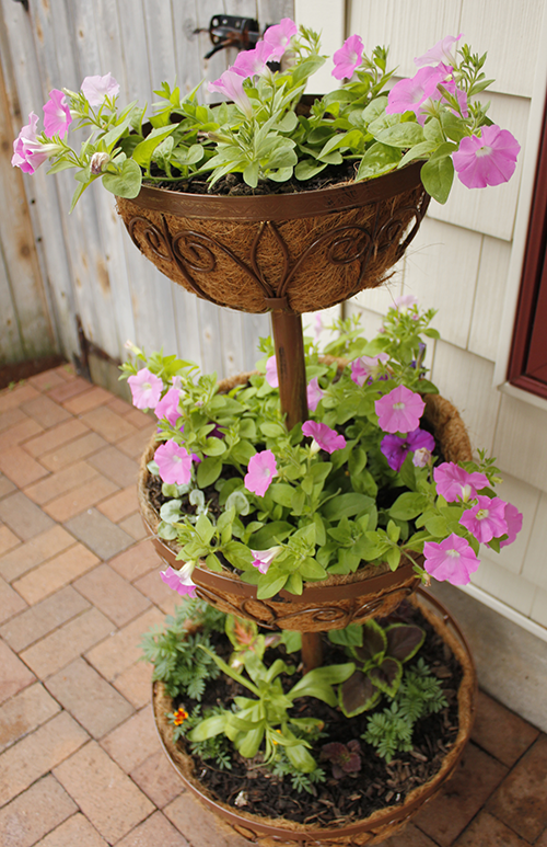 Mobile Blog Tomatos And Three tier Planter mobile-blog-tomatos-and-three-tier-planter