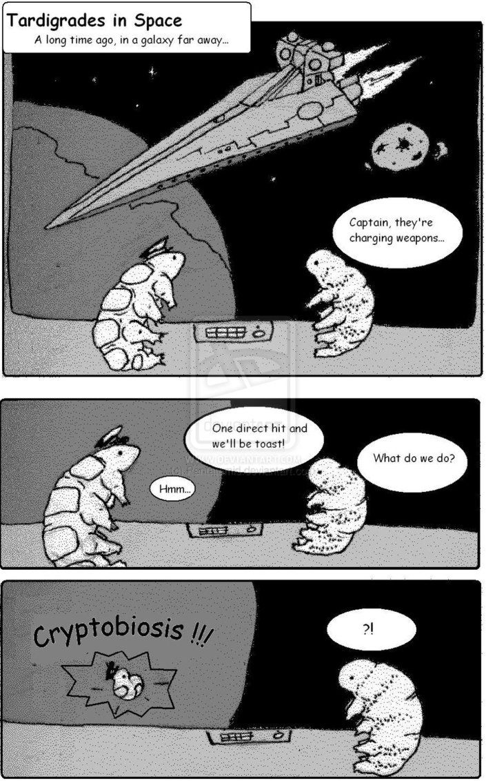 LA CIENCIA DE LA VIDA: Los tardígrados de Ant Man y la Avispa