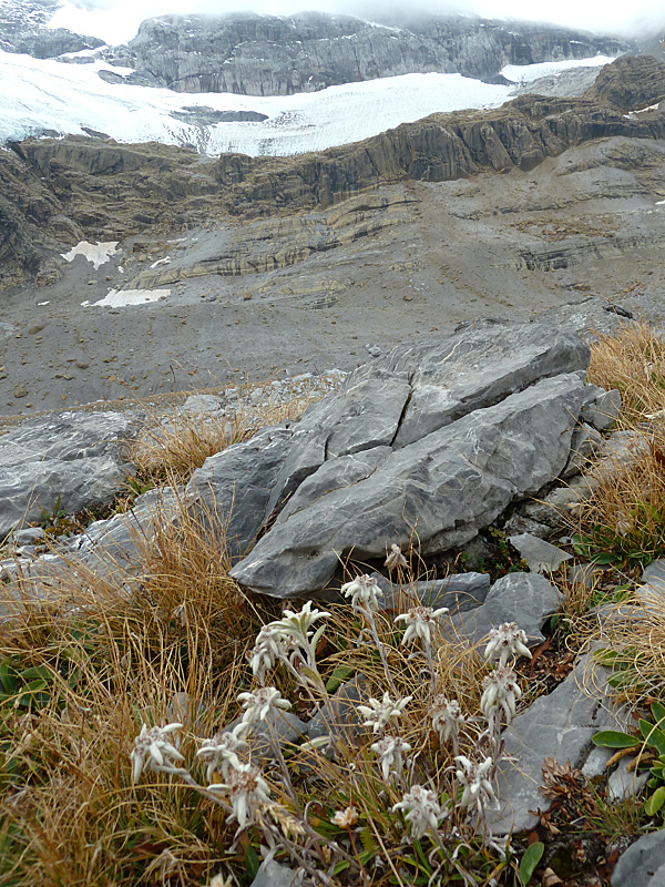 PASOS: Balcón de Pineta y circo de Marboré, 1 de octubre