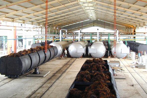 Kembara Insan / Engineer's Blog: Operasi Kilang Sawit / Palm Oil Mill ...