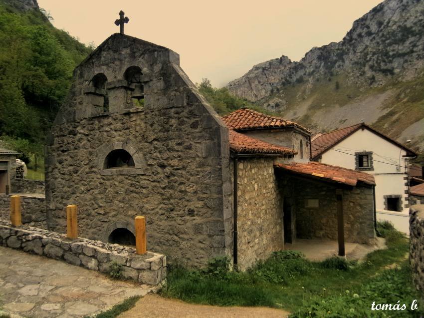 FOTOGRAFIAS: Cain, León