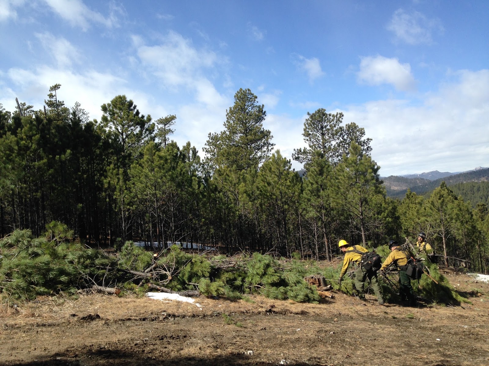 Great Plains Fire Information: Whitetail Fire