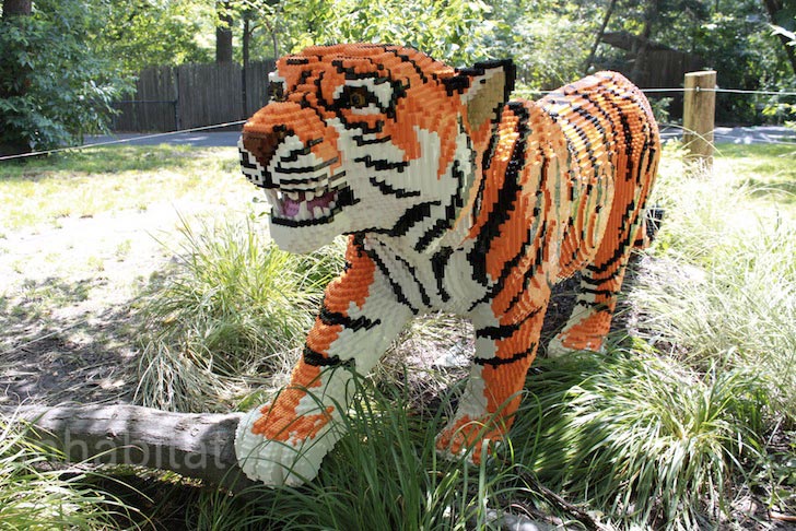 Tigre Lego: Cool Tigre Lego
