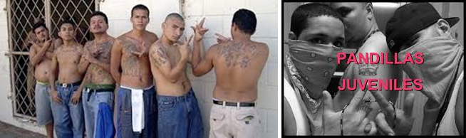 - NBM - Not a Blog More - Noel Blanco Meráz: Diferencia entre ...