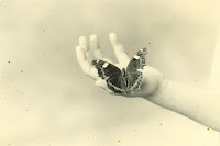 Brotes de haiku: Los haikus visuales de Masao Yamamoto