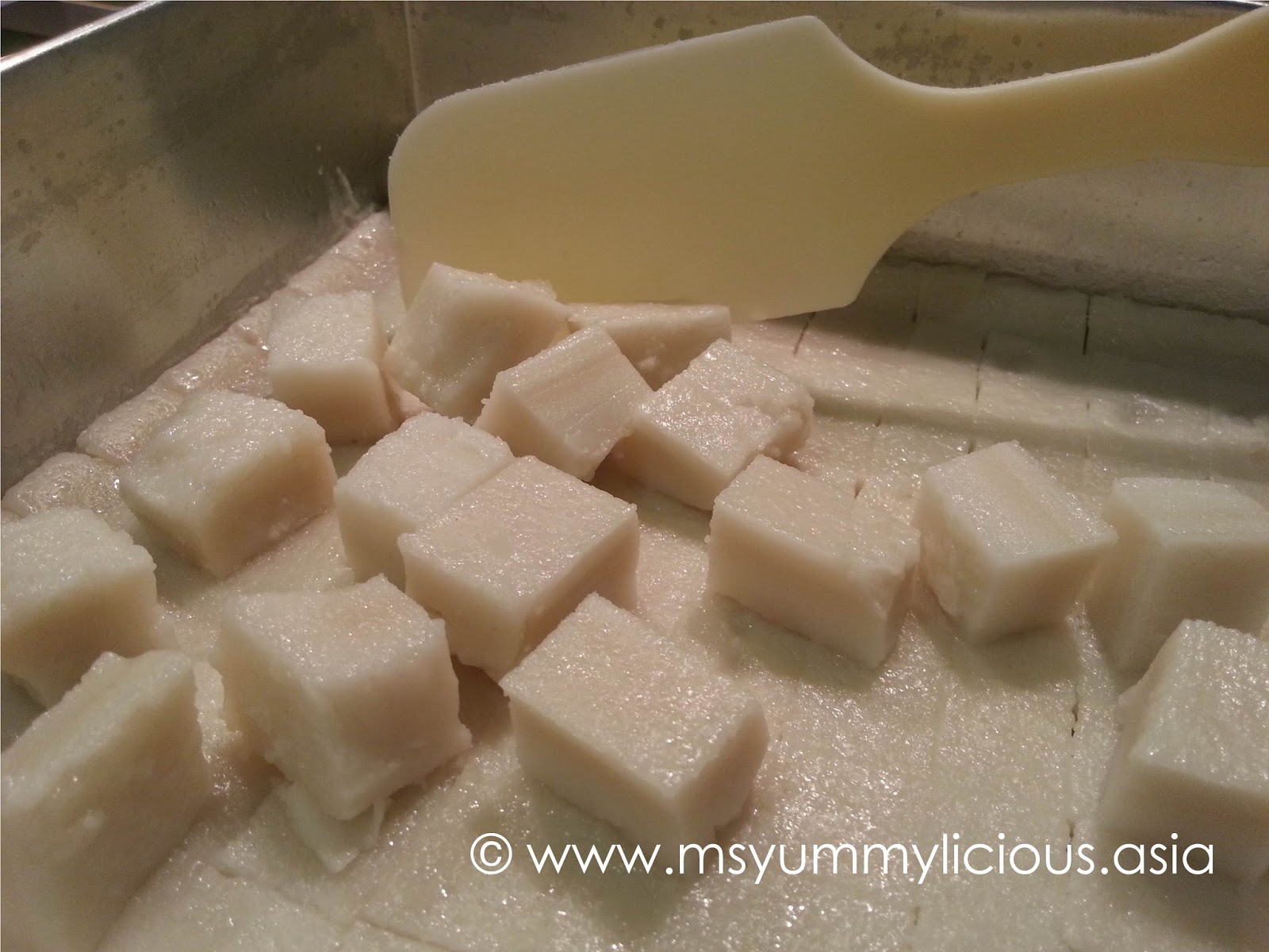 Fried Rice Cake (Char Kueh Kak) - Yummy~licious + Baby~licious