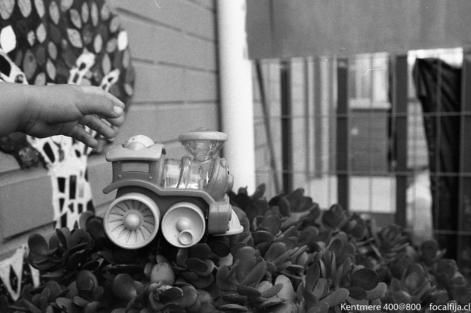 Kentmere 400 Push @800 @1600 @3200 Revelado con Rodinal