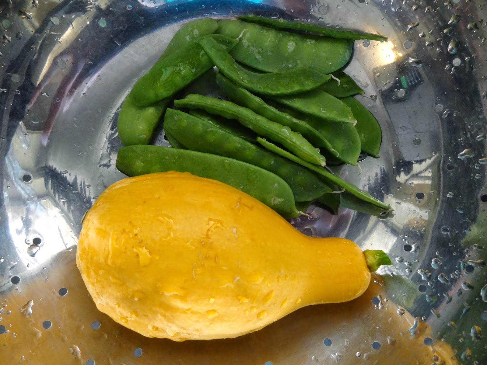 Rebecca's Texas Garden: Today's Harvest: First Peas and Squash