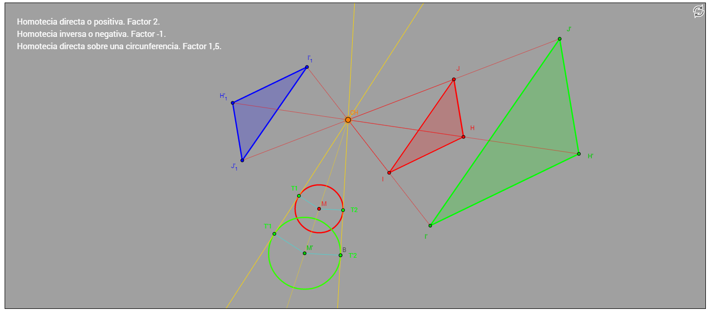 Geometría: Homología y Afinidad