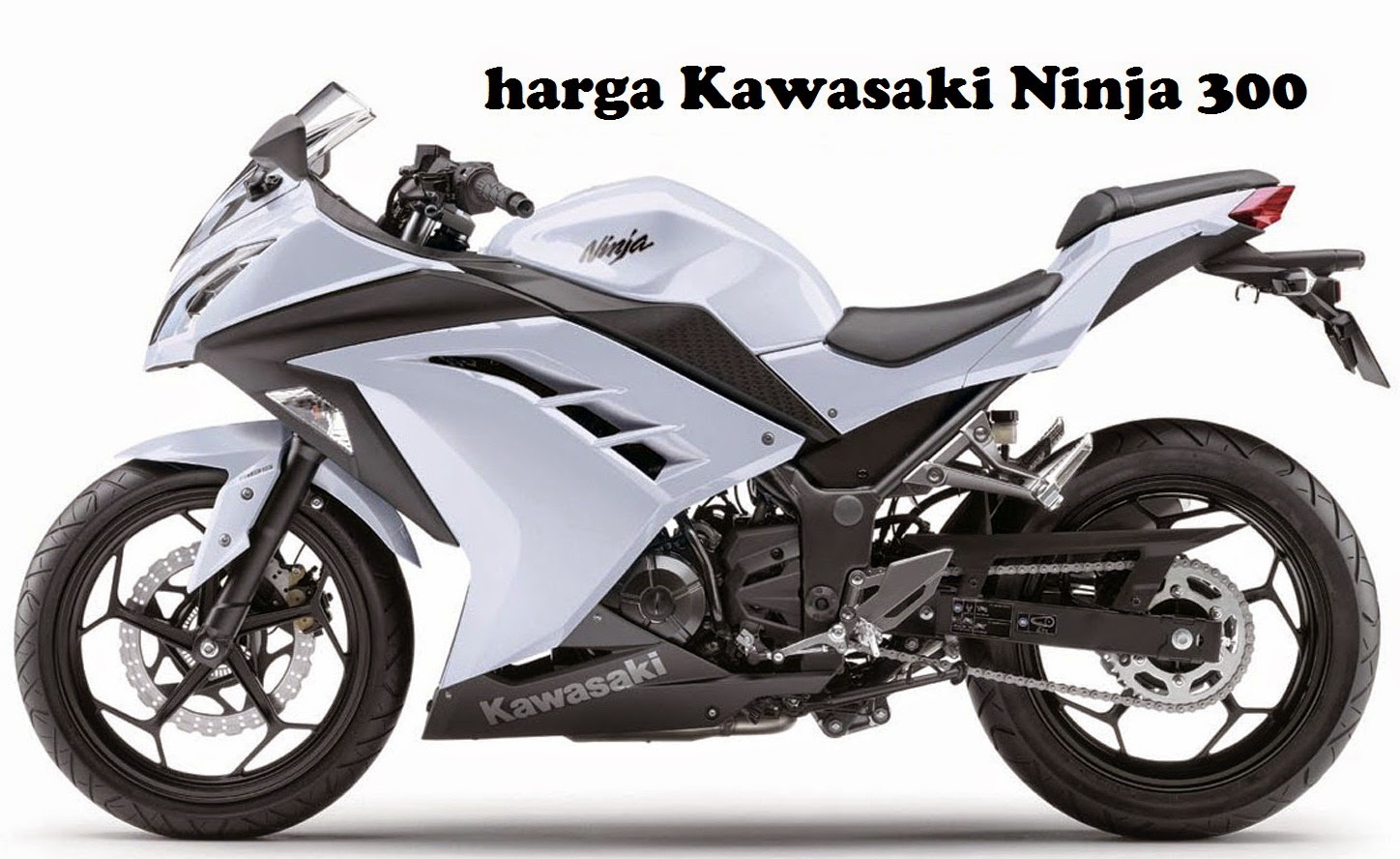 New Daftar Harga Jual Kawasaki Ninja 300cc Di Pasaran Tahun 2016 Ini ...