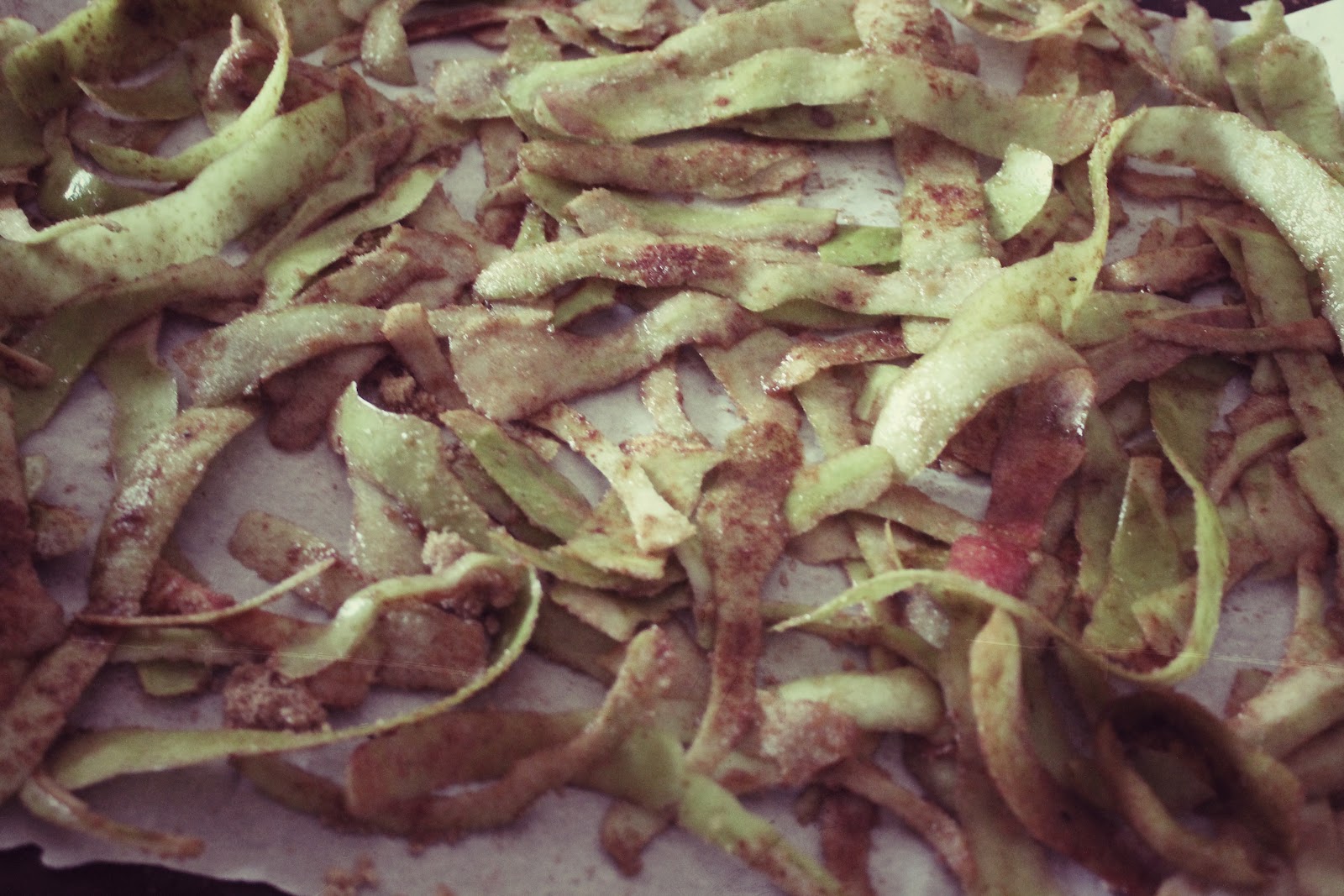 set the trail: DIY almanac: crockpot apple sauce and spiced apple skins