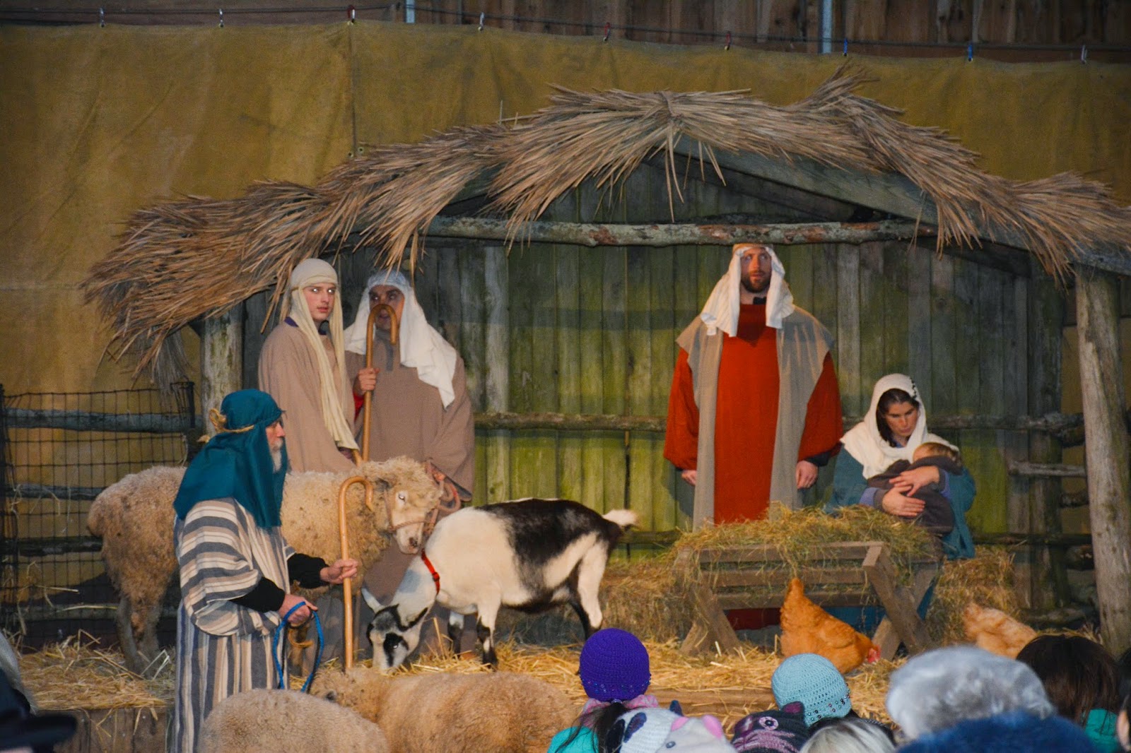 A SCRAPBOOK OF INSPIRATION: The Living Nativity