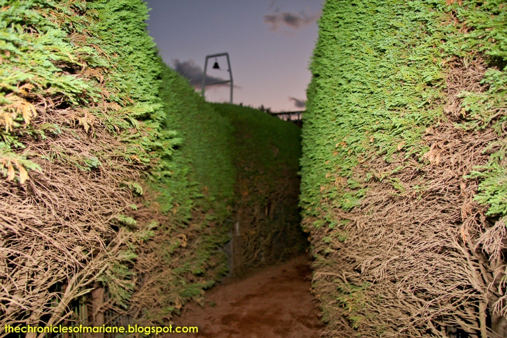 Manjanggul Cave and Gimnyeong Maze Park, Jeju - Day 12 in South Korea ...