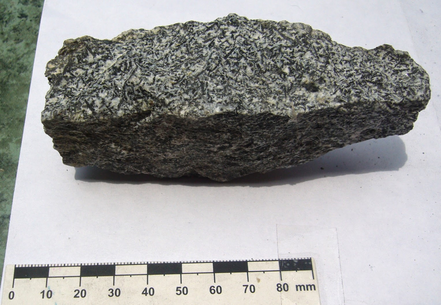 Tonalita (Tonalite) - Roca