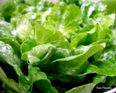 Fair Flavors: How to keep lettuce fresh and crisp