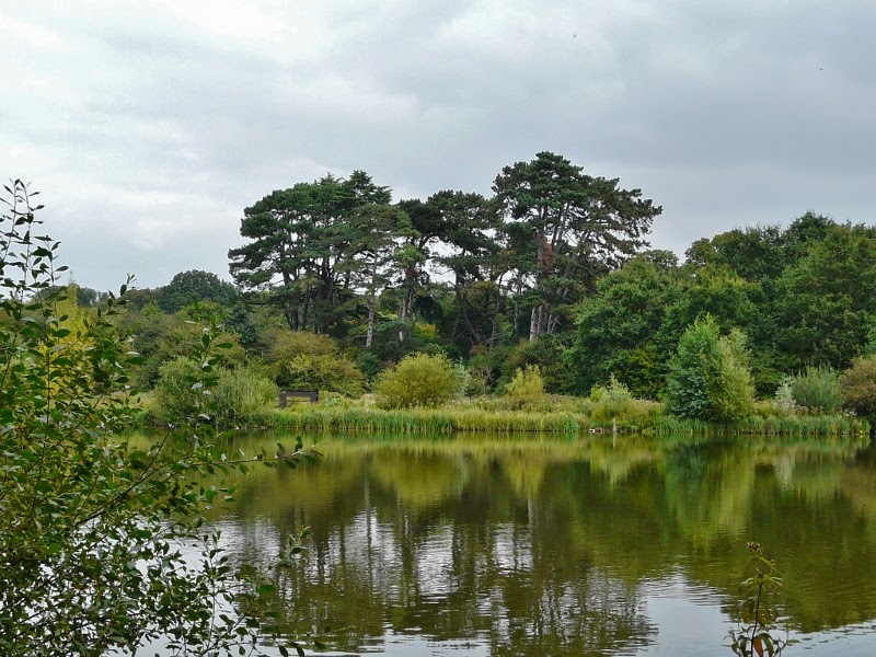 Cindy's Snaps: Hatfield Forest (stomping ground of my Hatfield Broad ...