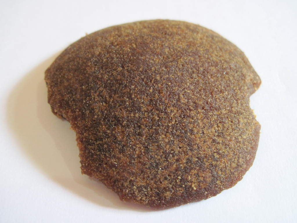 white monks at sri lanka: Thal ala mit Hakuru