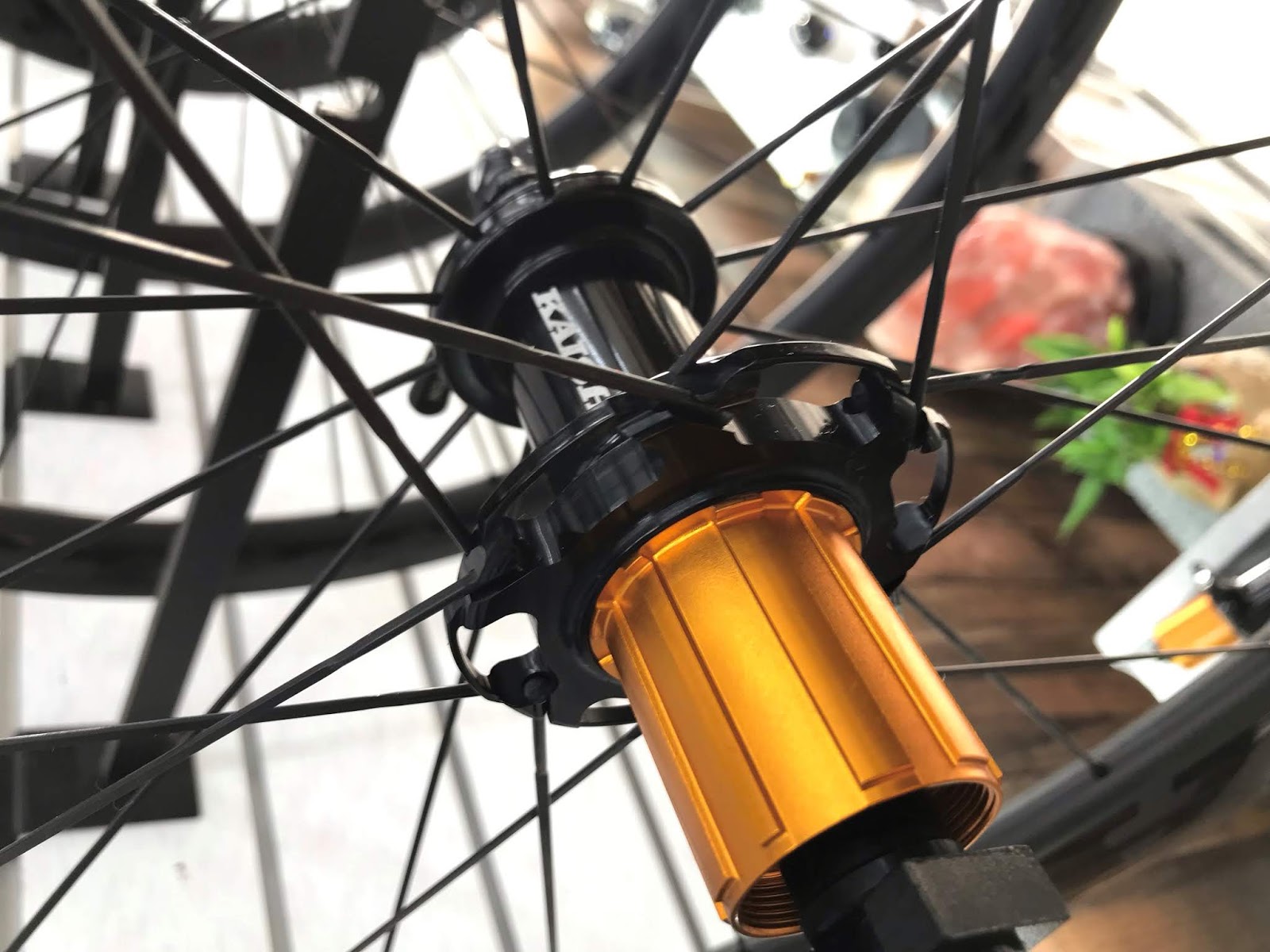 KAISH 輪組: 2019 CABBON EAGLE S38