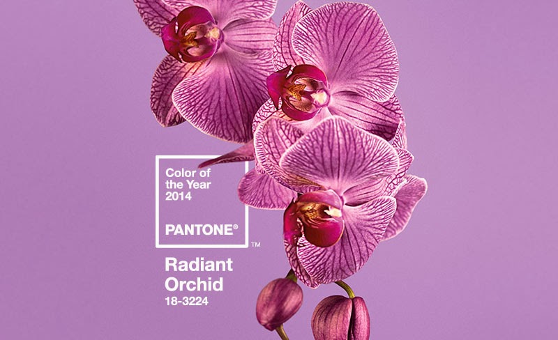 The Designer's Muse: Color of The Year: Radiant Orchid