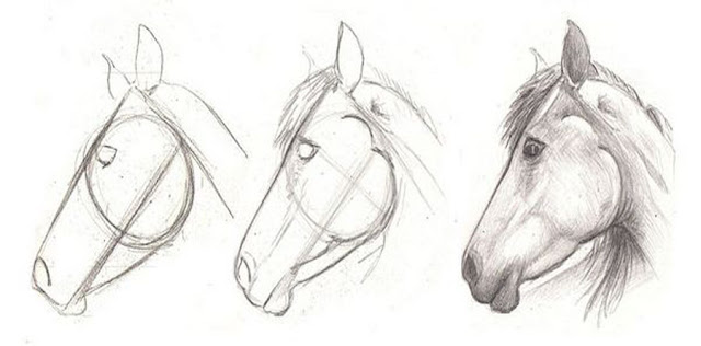 How To Draw A Horse Head In 3 Easy Step Learn To Draw And Paint how-to-draw-a-horse-head-in-3-easy-step-learn-to-draw-and-paint