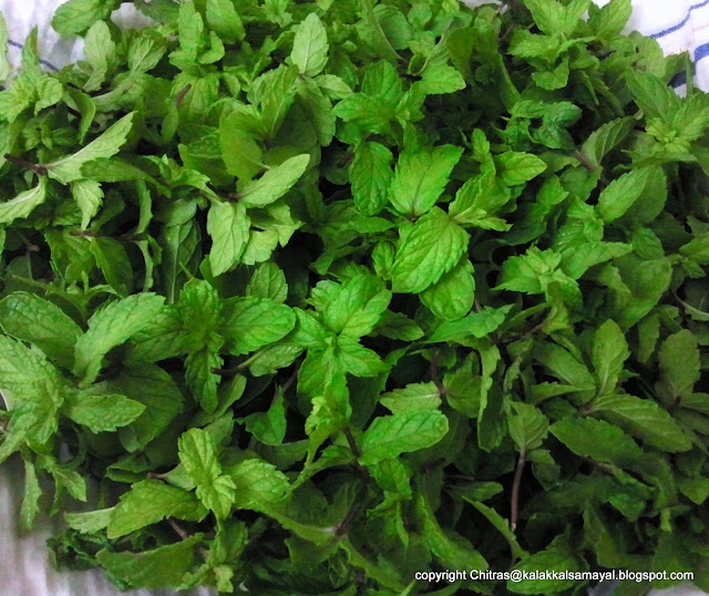 kalakkalsamayal: Mint Concentrate