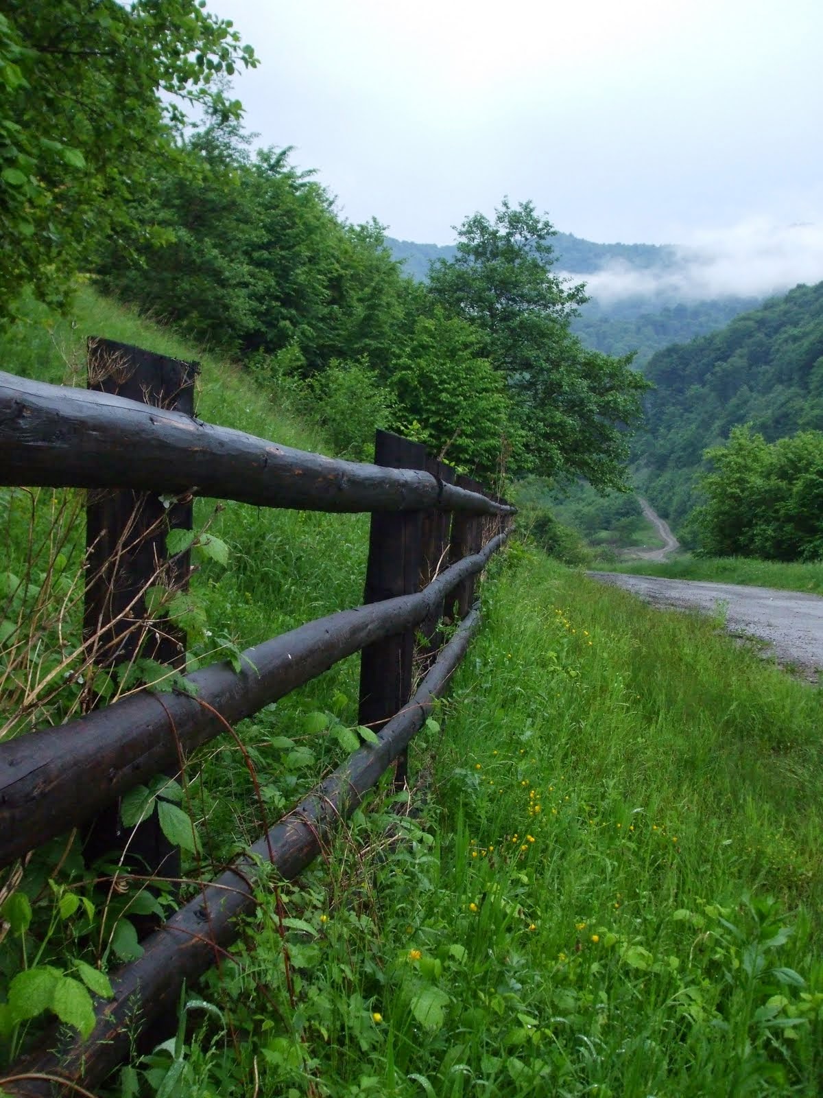 10 Poze facute pe Valea Buzau - Buzău, orasul sufletului meu