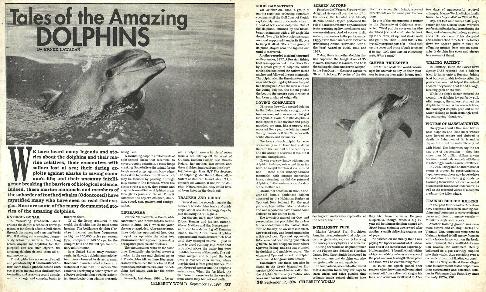 ALAM MO BA 'TO? (Do You Know This?): Tales of the Amazing Dolphins