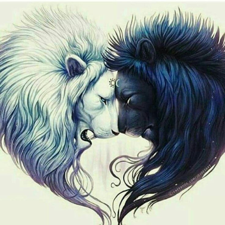 Laura Ruge: Discurso Nemequismo