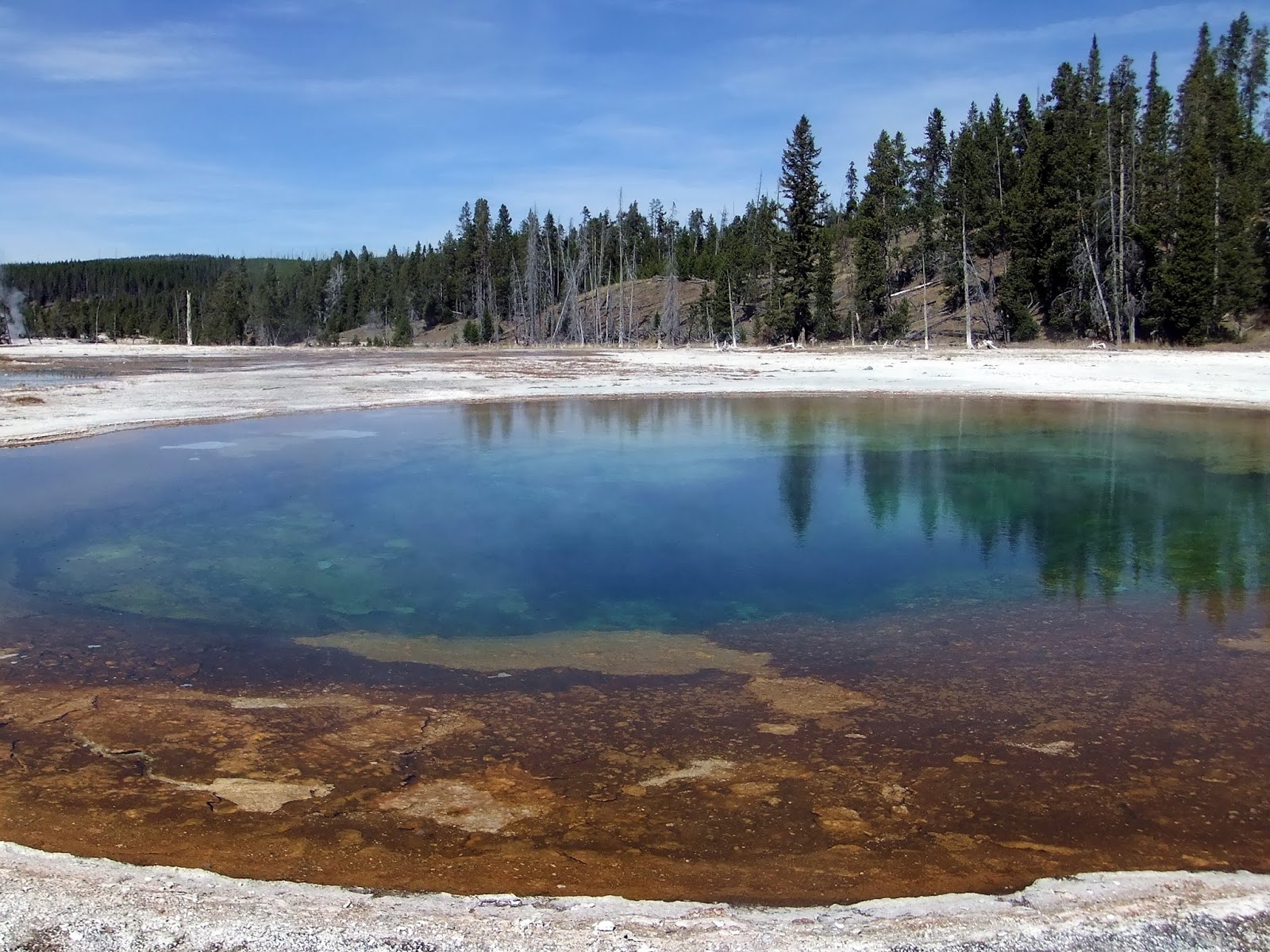 Focusing On Travel : Yellowstone: A Geyser Gazers Guide to the Upper ...