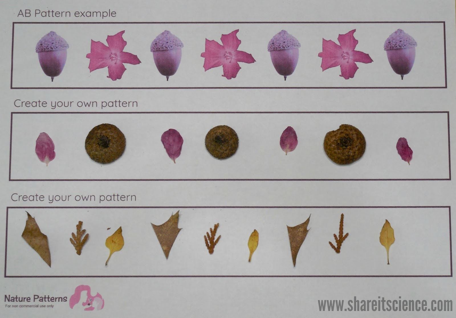 Share it! Science : Using Nature Arts and Crafts to Inspire STEAM Learning