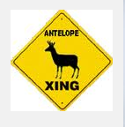 The HikingFools on the PCT: Signs, Signs, Everywhere are Signs