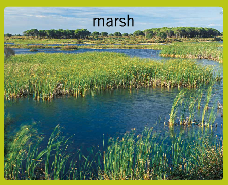 SGAguilar Javier Ramos: marzo 2014