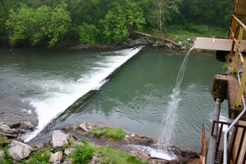 Shoalanda: The Drowning Machine in Cypress Creek