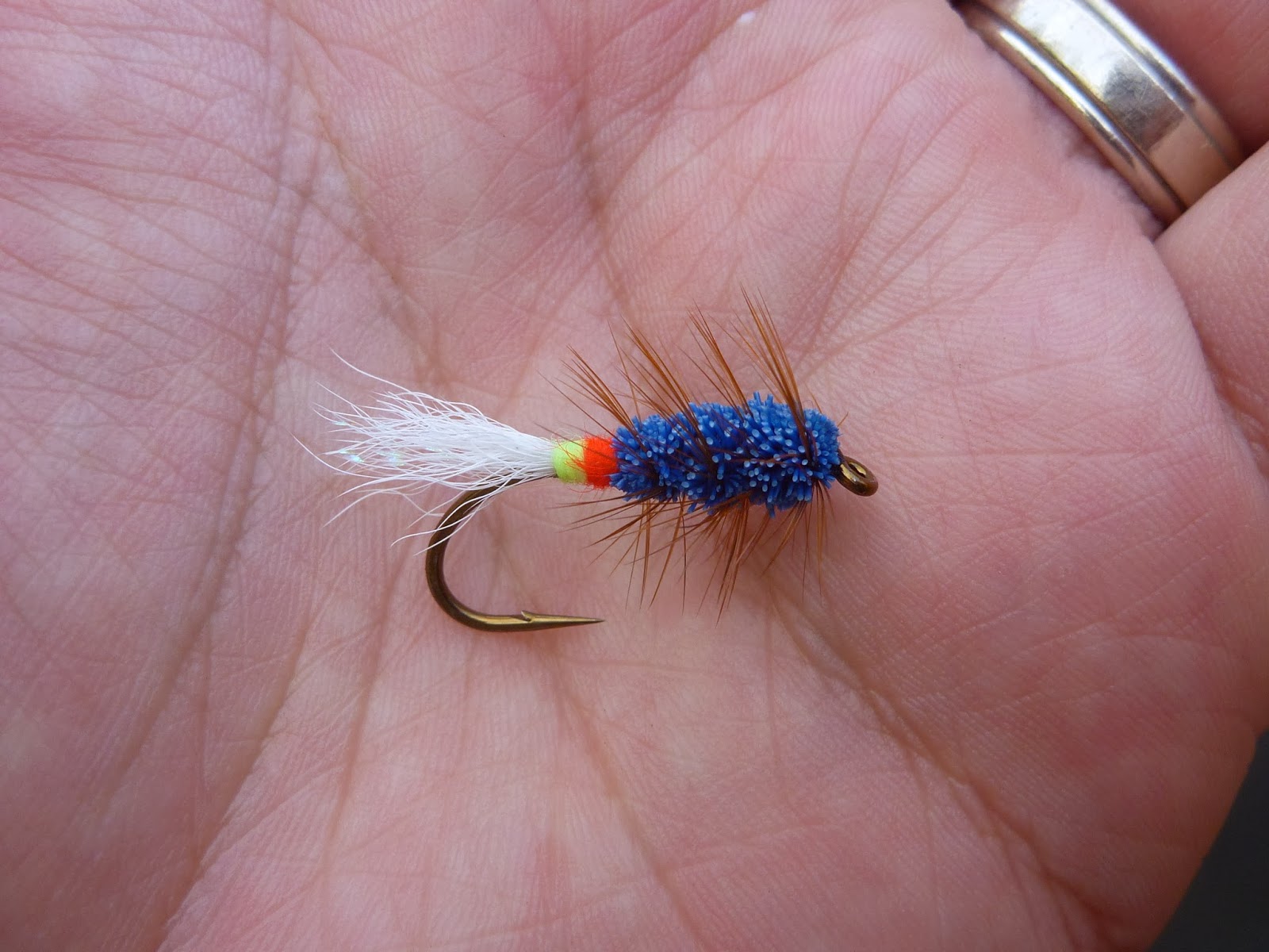 Atlantic Salmon Flies: Naugatuck Report - October 14, 2013 - Buck Bug Fever