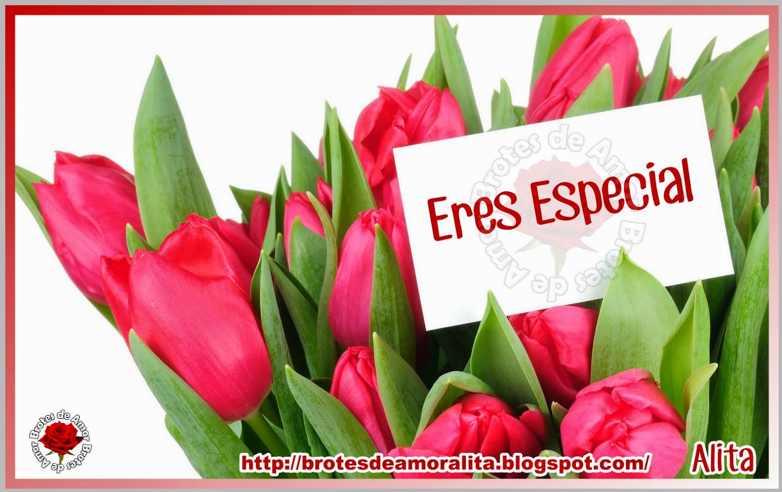 Brotes de Amor: Eres Especial