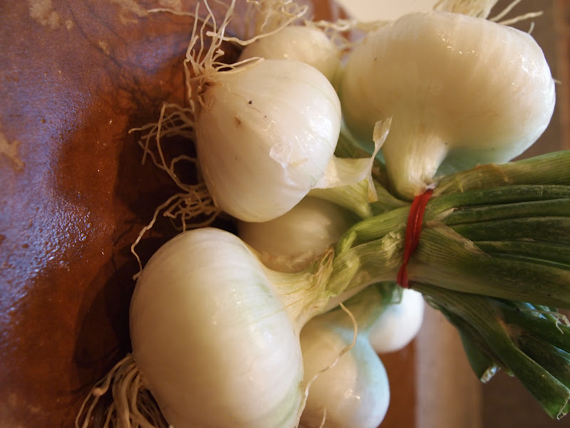 grilling classics: grilled tri-tip with red wine barbecue sauce and ...