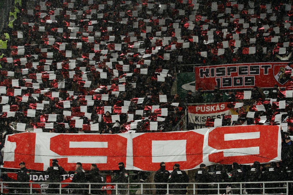 Hungarian Ultras
