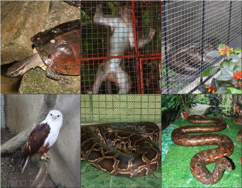 Filipino Travelog: Bohol Day Tour Part 2: Heritage Churches & Prony ...