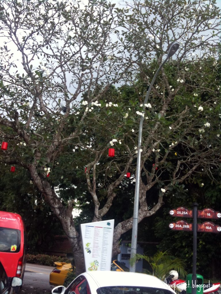 A Creative Project: Weekend retail therapy