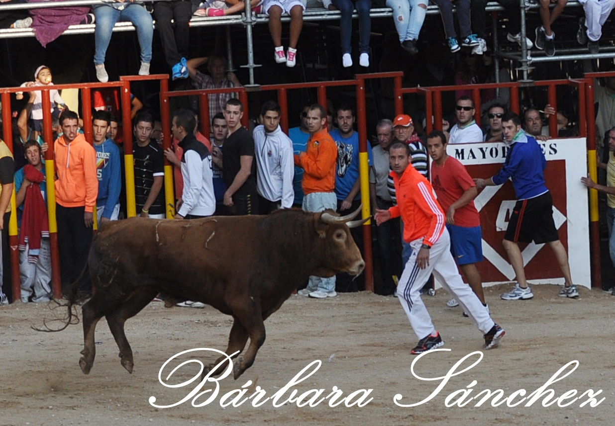 TAURINAS AL NATURAL: ARGANDA DEL REY (MADRID)