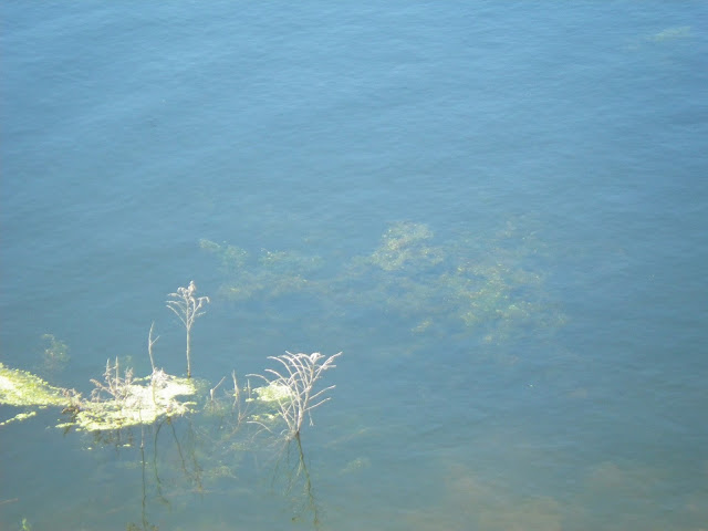 The Lost Grove Lake Mapping Project