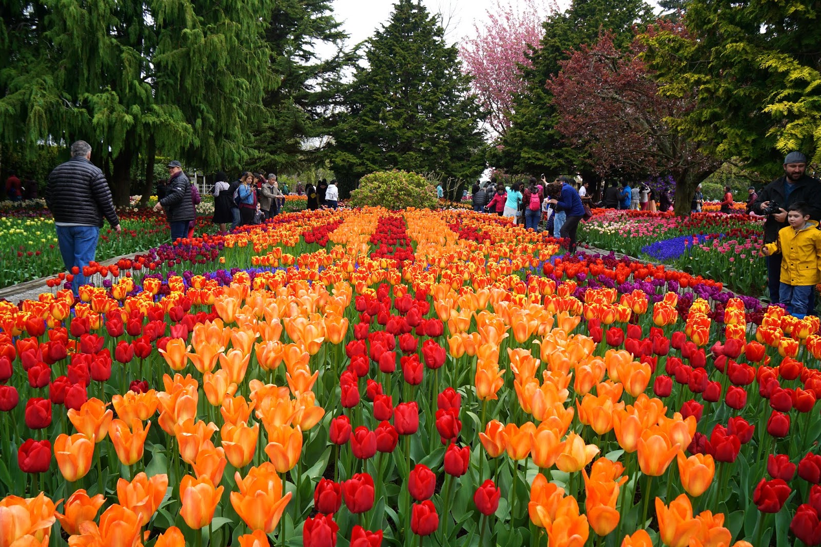 Roozengaarde - SesameTravel