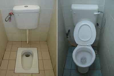 Fizgraphic: Pilih Tandas Cangkung Ke Tandas Duduk?