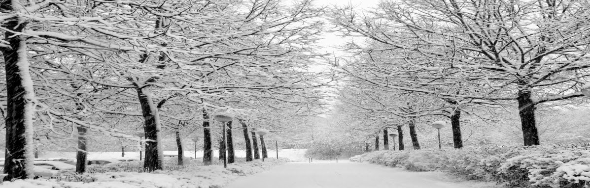 Melancong ke Korea .... Kimchi Muslim Tour and Travel Korea... From ...