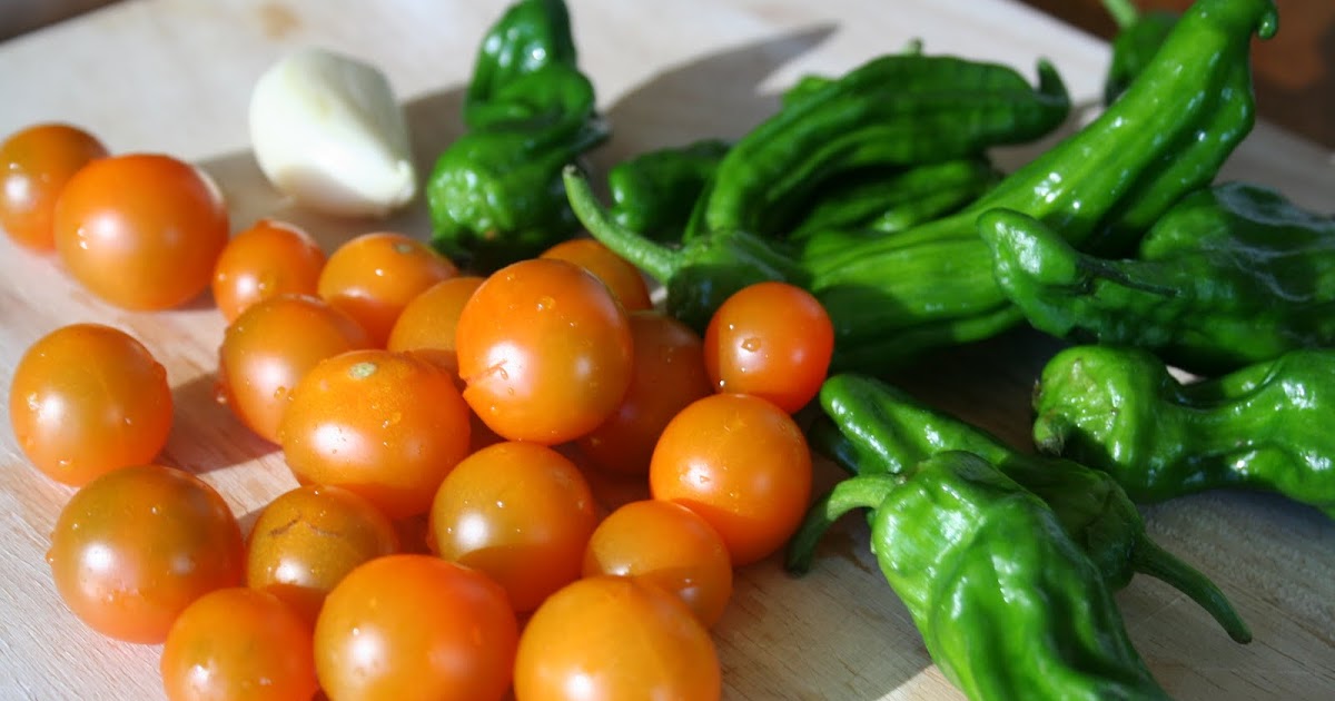 The Freerange Chick: Shishitos and cherry tomatoes over crispy quinoa