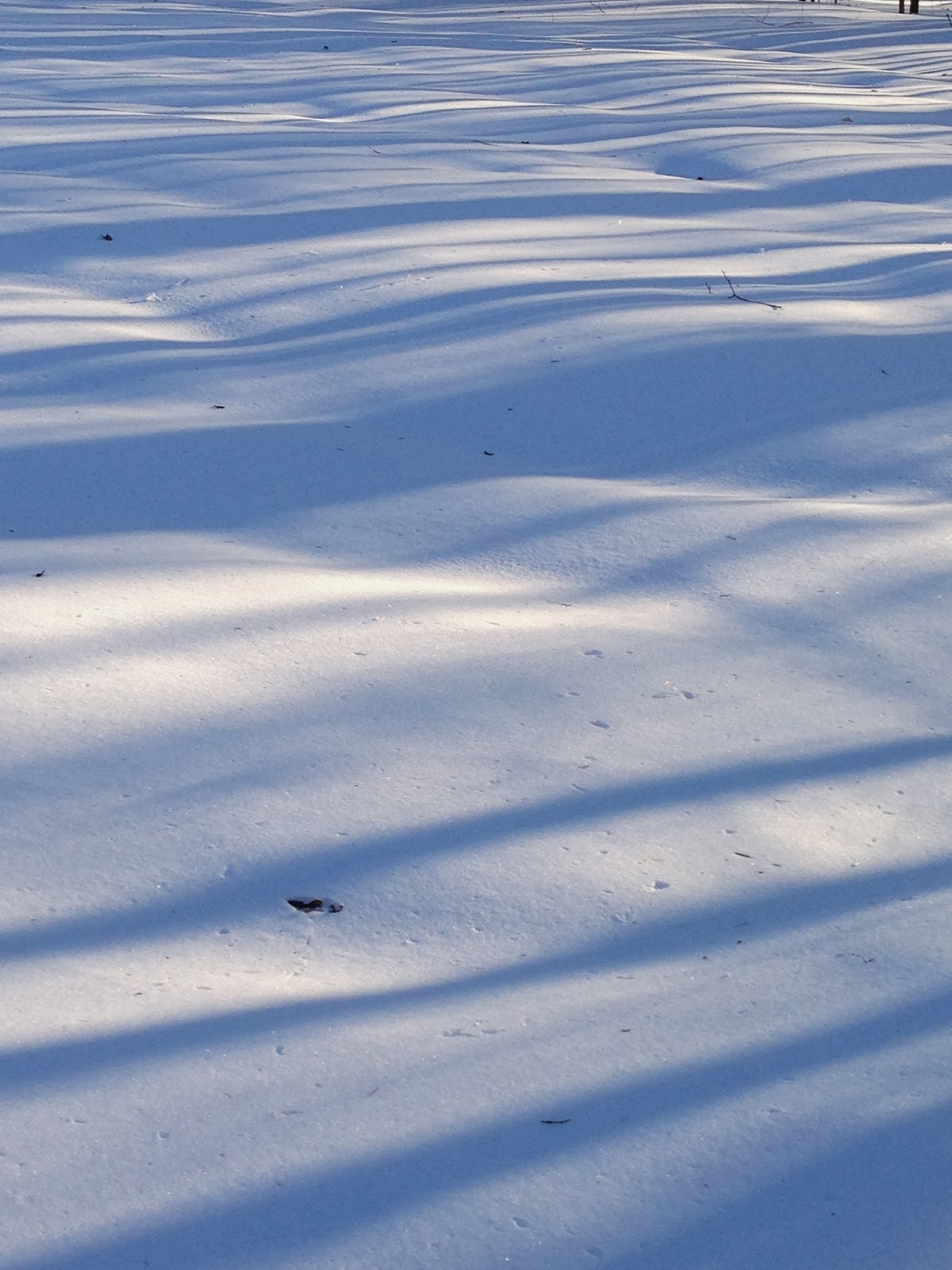 A Life Inspired by Nature: Abstract snow