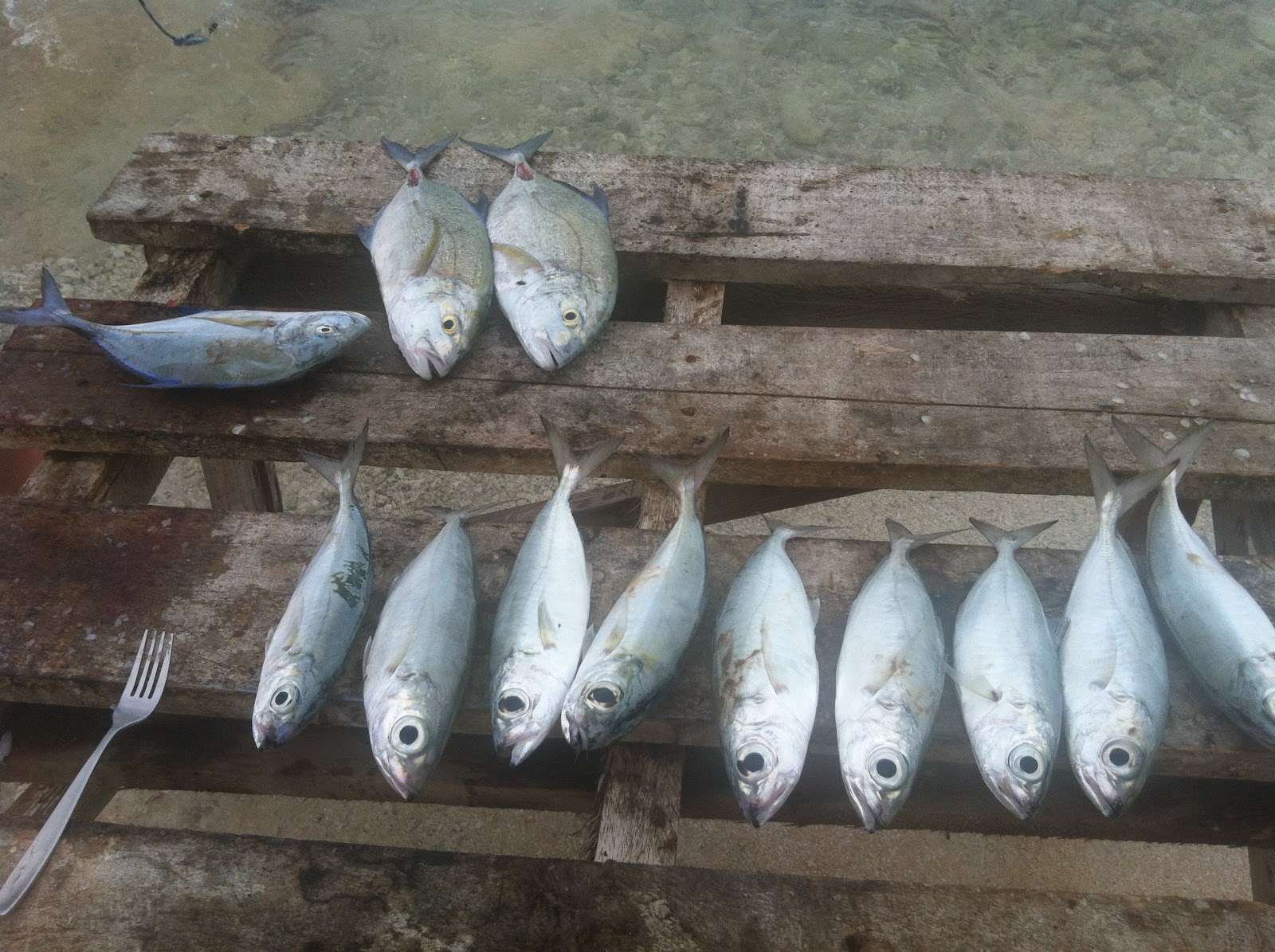 Wander. Hunger. Thirst.: Tahiti Redux