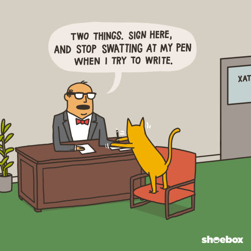 A Tonk's Tail... err, Tale...: Toon Tuesdays: Cats and Taxes